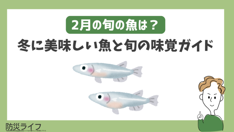 【比較】ディズニーVS USJ どっちが人気？徹底比較
